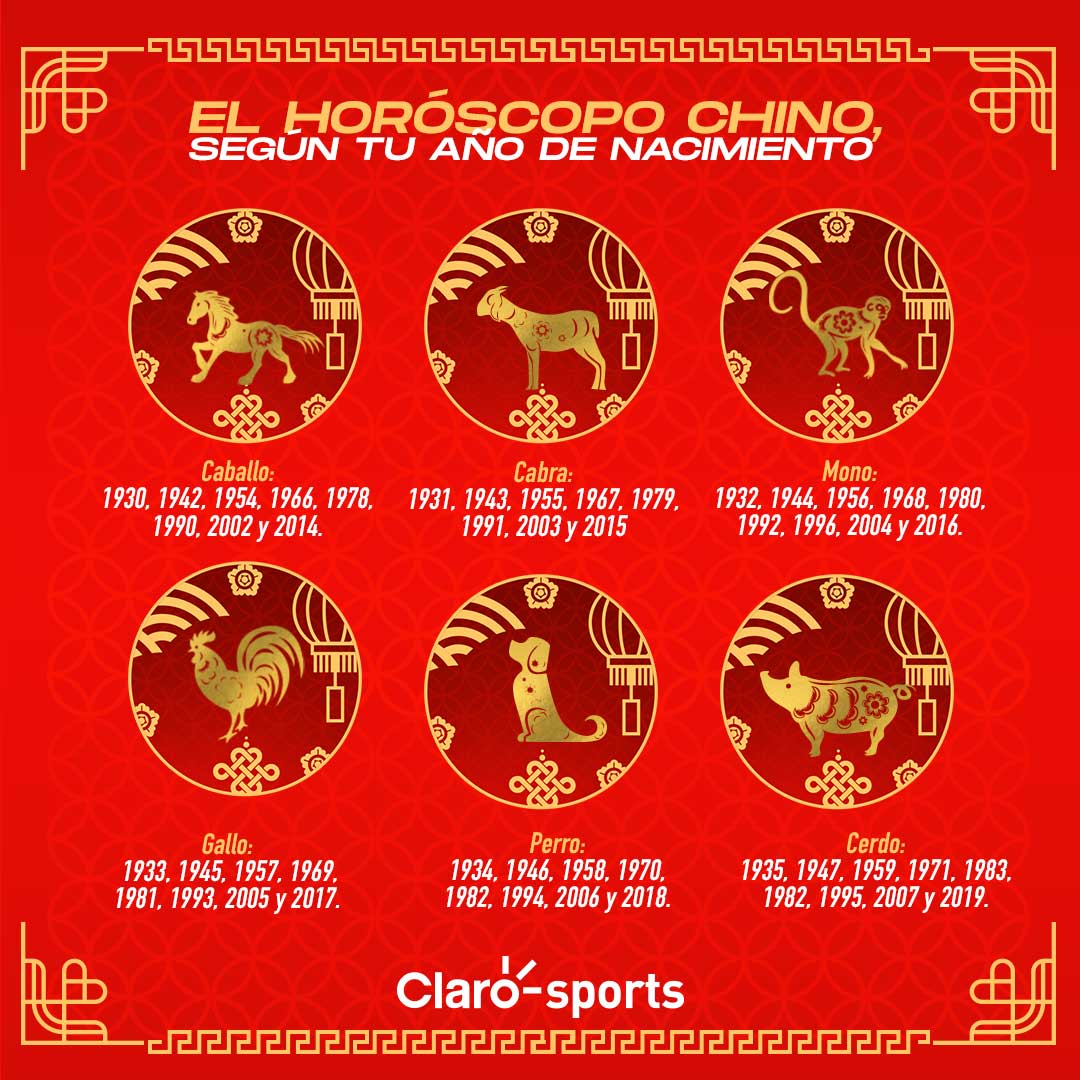 Conoce tu signo del zodiaco chino y cuál es tu animal protector, según ...