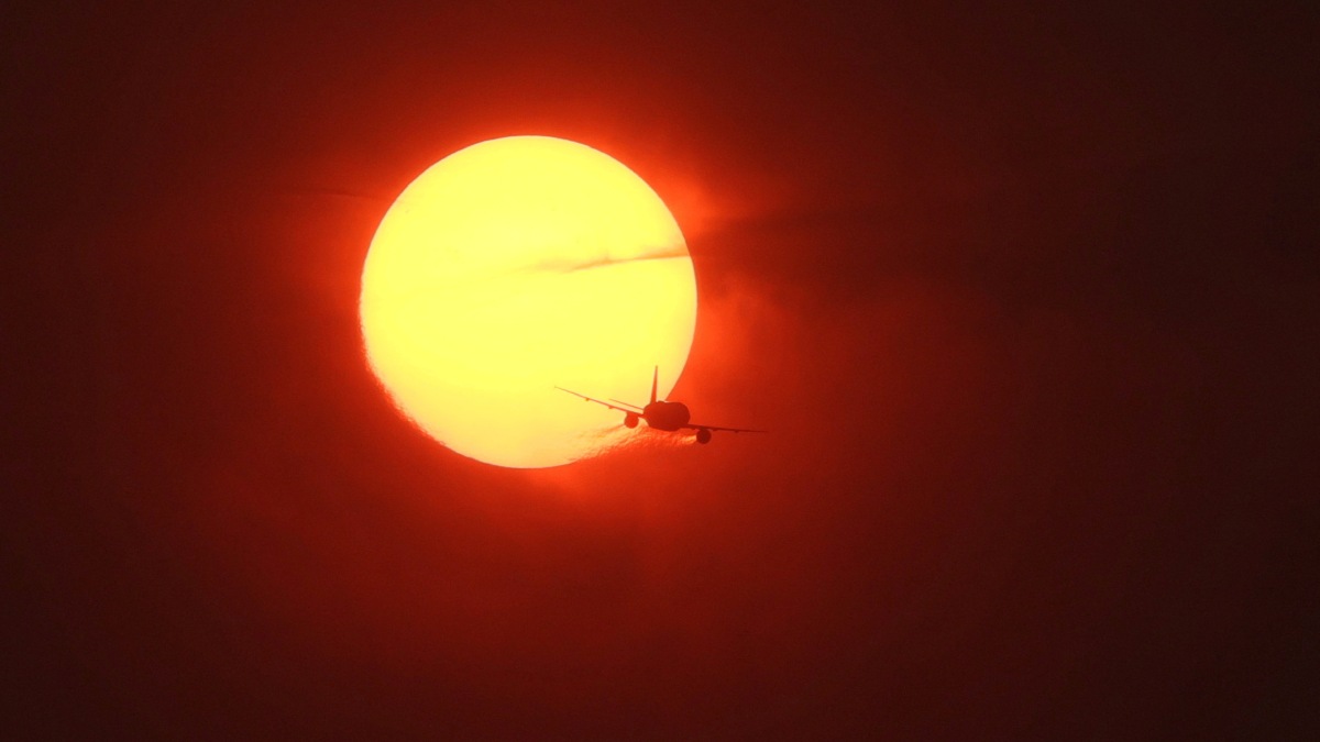 ¿Qué es el efecto "Terminator" y cuál es la relación de este fenómeno ...
