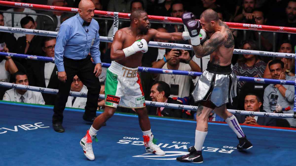 ¿Cuántas categorías y divisiones hay en el box? Conoce las divisiones y ...